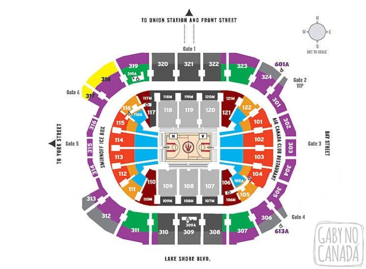 Dica: como aparecer no telão do ACC em um jogo de basketball – Gaby no ...