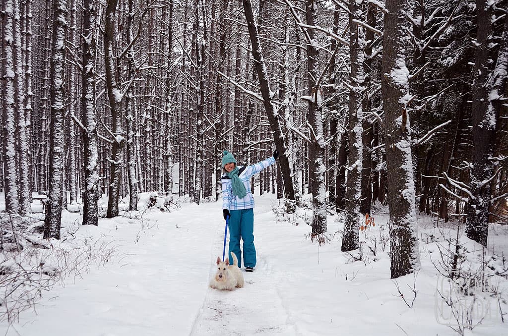 Tudo sobre o mês de janeiro/2019 em Toronto – Gaby no Canadá