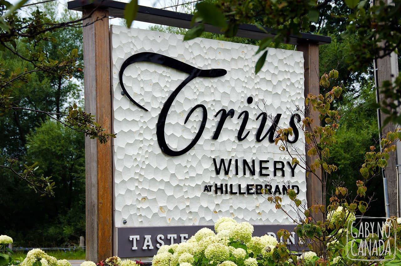Vinícola em Niagara on-the-lake: Trius Winery at Hillebrand – Gaby no ...