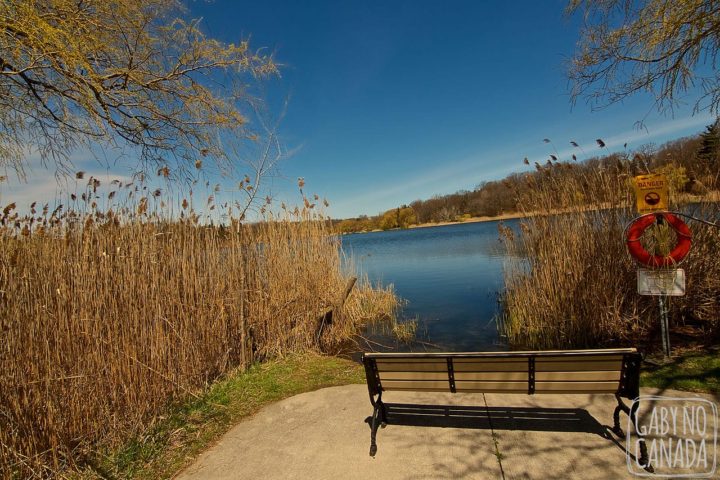 15 atrações gratuitas que você não pode perder em Toronto – Gaby no Canadá