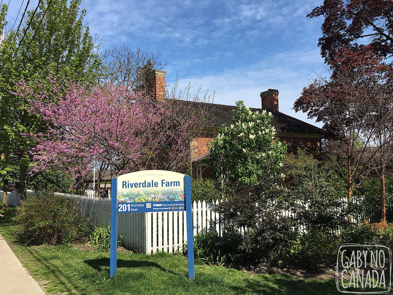 Riverdale Farm: a fazenda do centro de Toronto – Gaby no Canadá