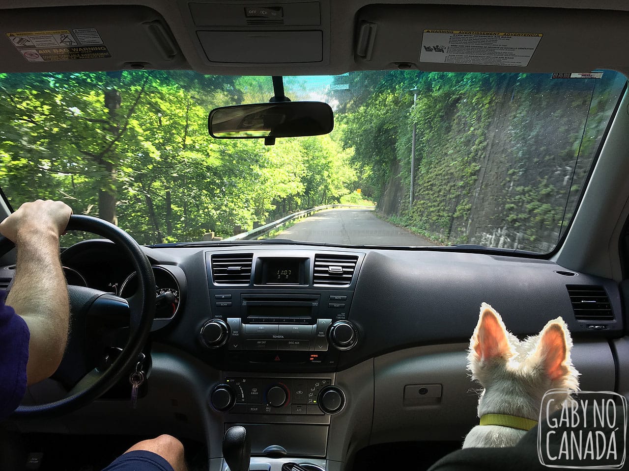 Home Smith Park – Gaby no Canadá