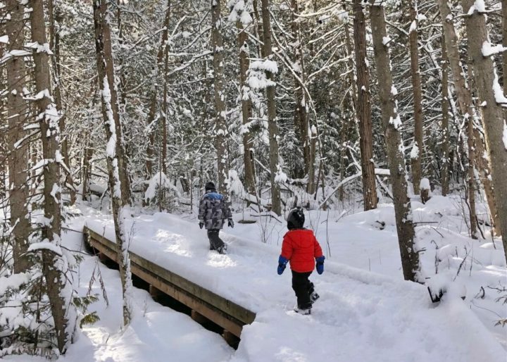 Trilhas para você fazer em Toronto no inverno – Gaby no Canadá